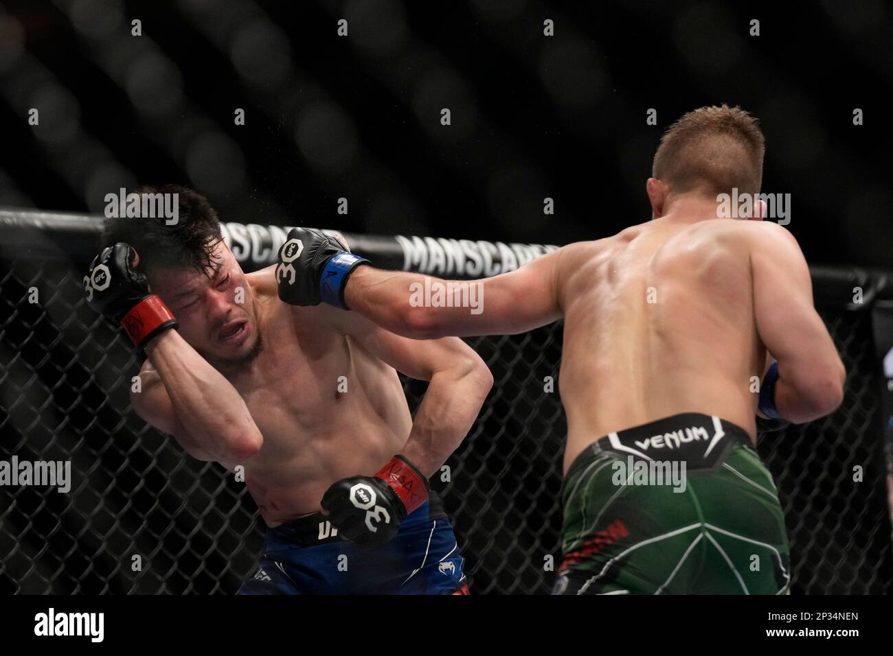 LAS VEGAS, NV - MARCH 4: (R-L) Cameron Saaiman punches Mana Martinez in ...