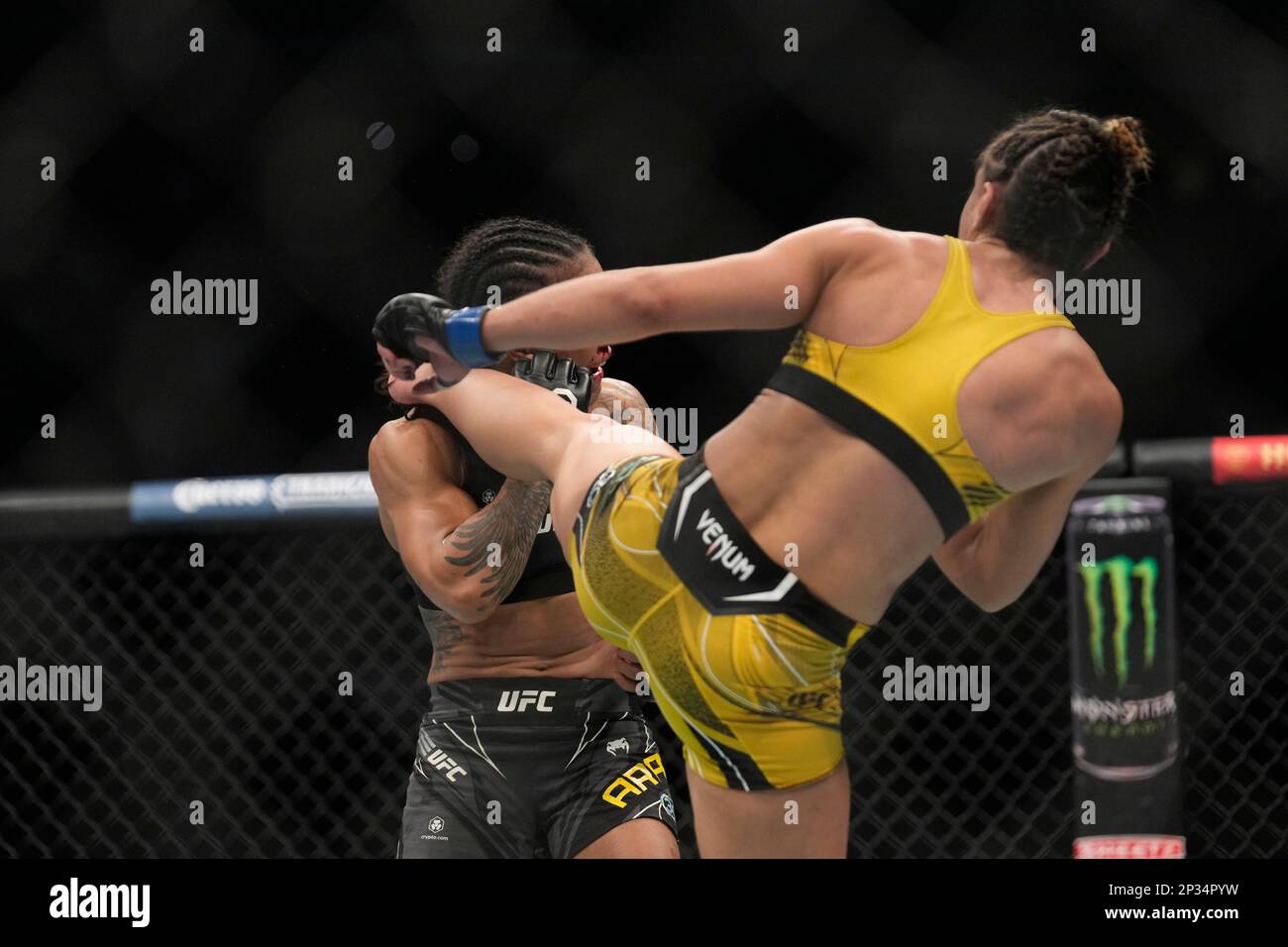 LAS VEGAS, NV - MARCH 4: (R-L) Amanda Ribas kicks Viviane Araujo in ...