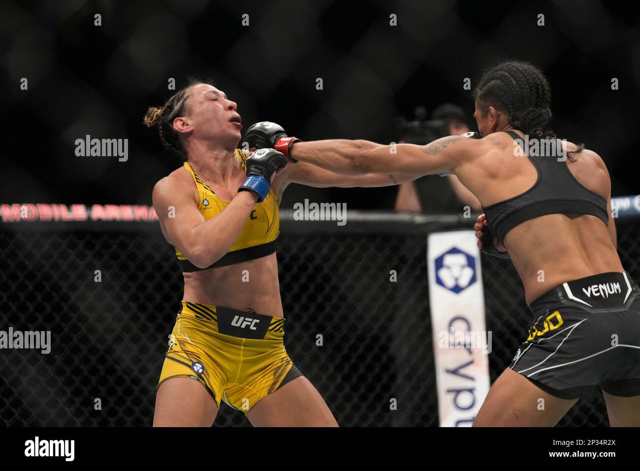 LAS VEGAS, NV - MARCH 4: (R-L) Viviane Araujo punches Amanda Ribas in ...