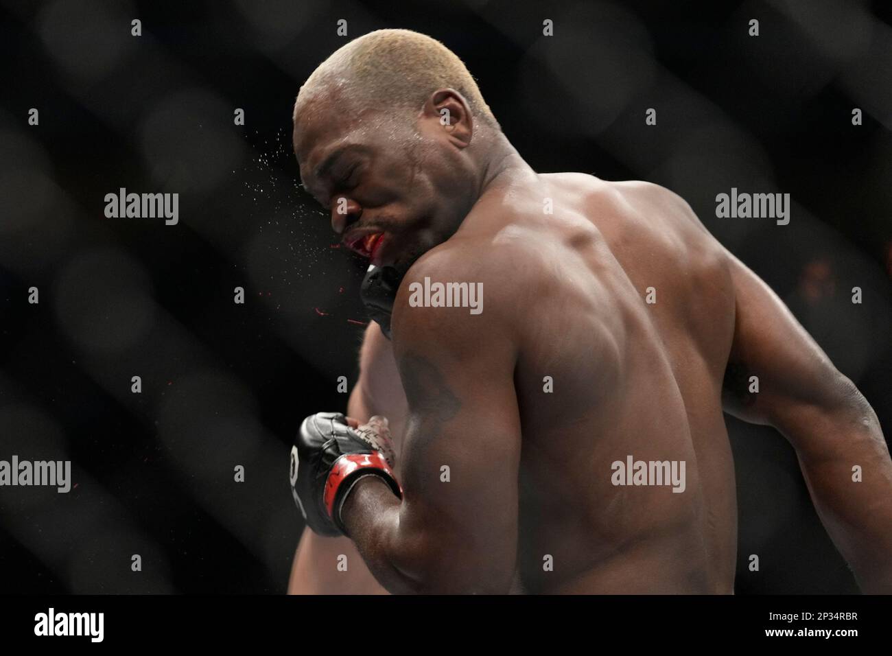 Dricus du plessis 2023 hi-res stock photography and images - Alamy