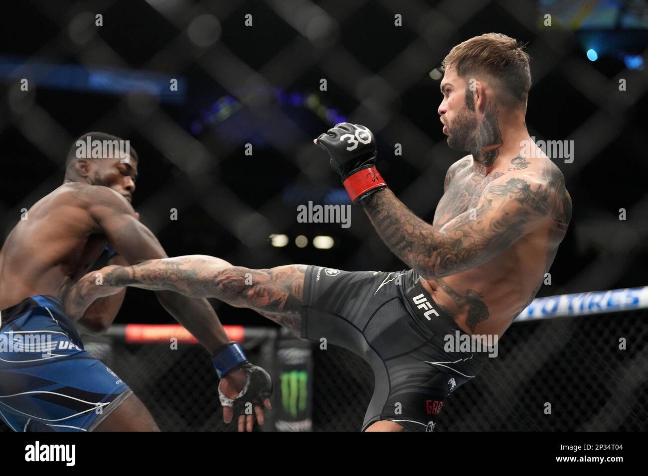 LAS VEGAS, NV - MARCH 4: (R-L) Cody Garbrandt punches Trevin Jones in ...