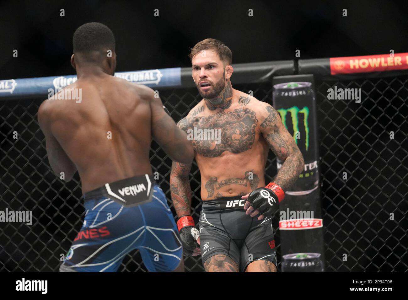 LAS VEGAS, NV - MARCH 4: (R-L) Cody Garbrandt battles Trevin Jones in ...