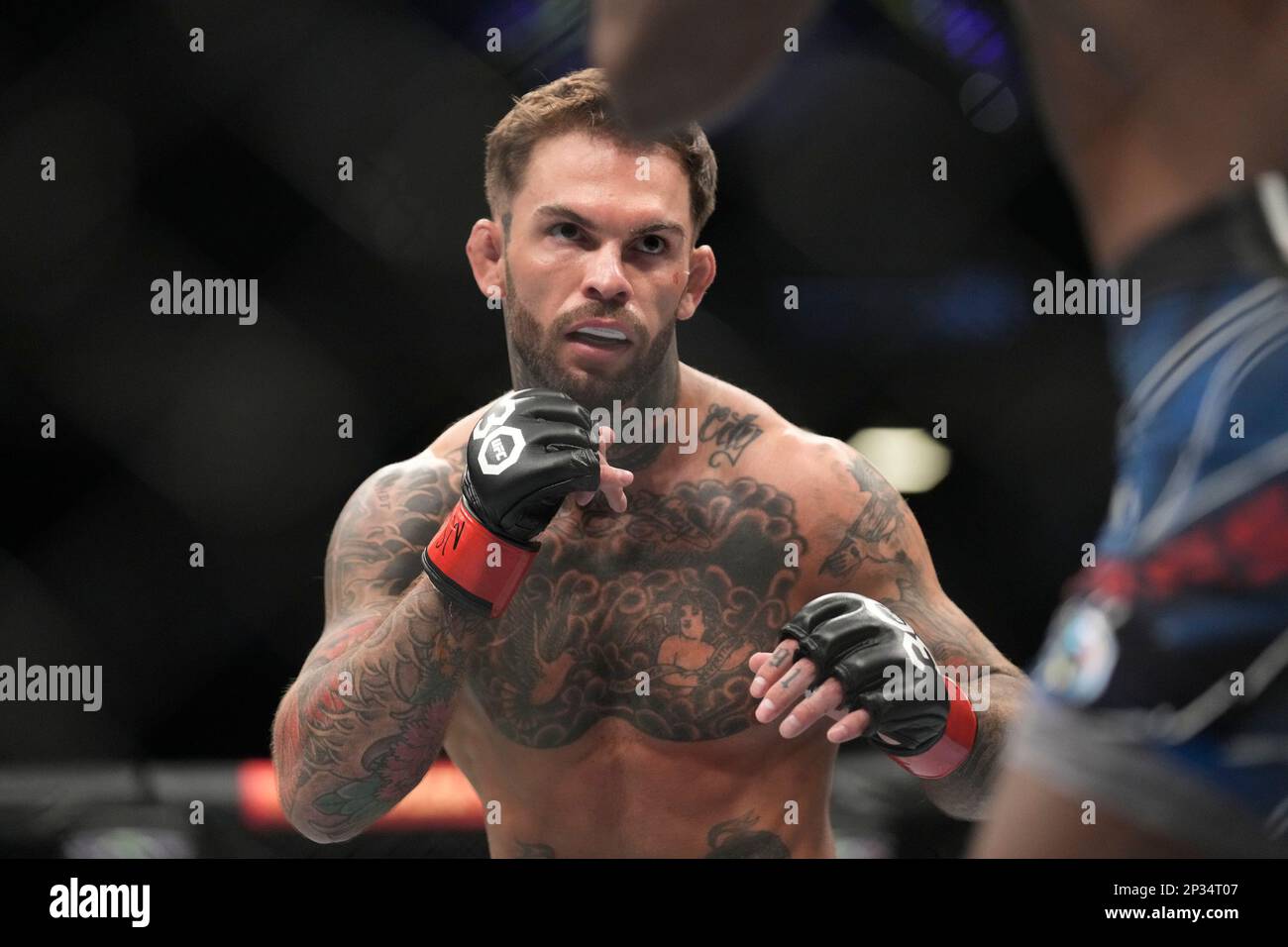 LAS VEGAS, NV - MARCH 4: (L-R) Cody Garbrandt battles Trevin Jones in ...