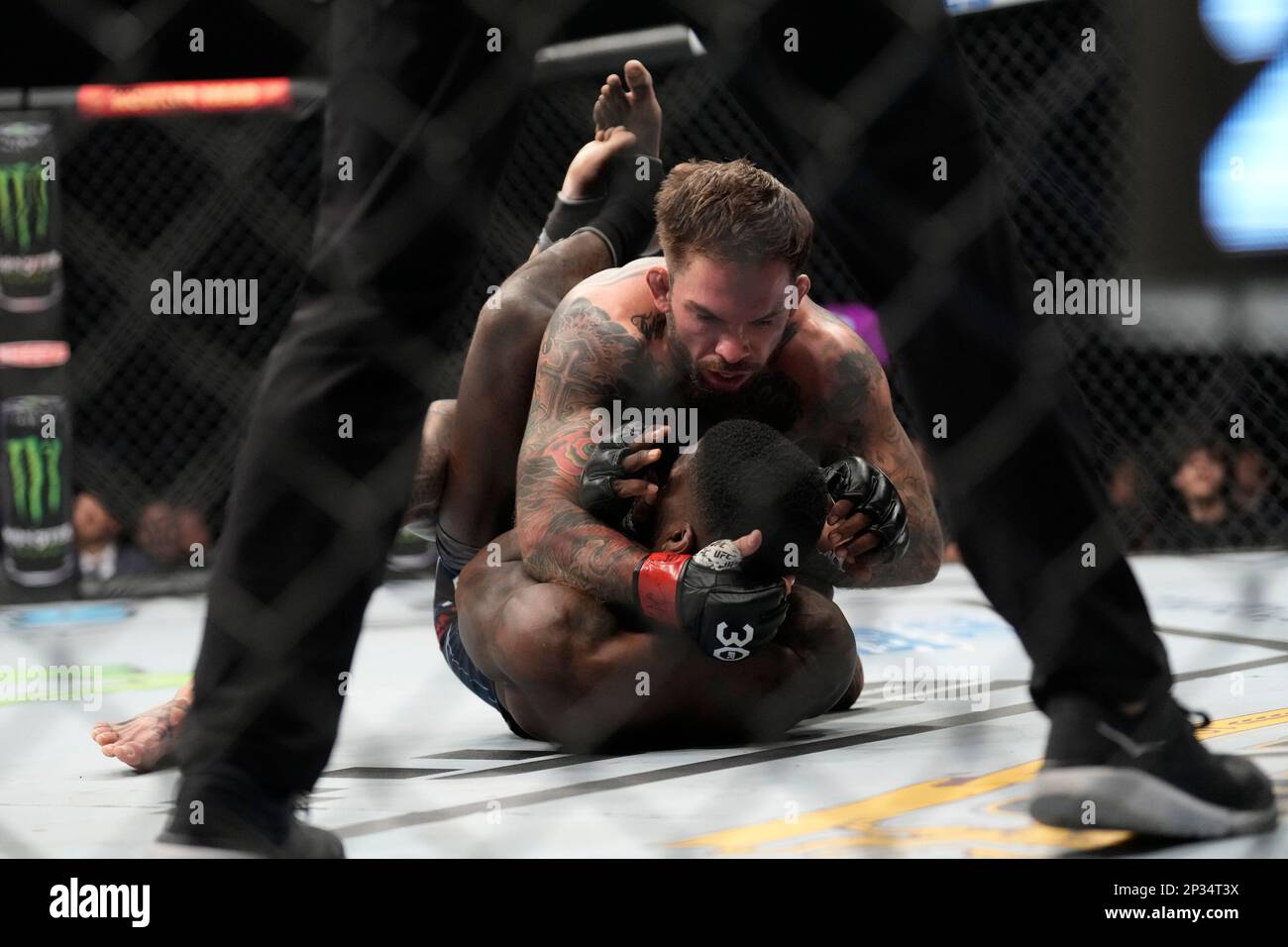 LAS VEGAS, NV - MARCH 4: Cody Garbrandt (top) controls the body of ...