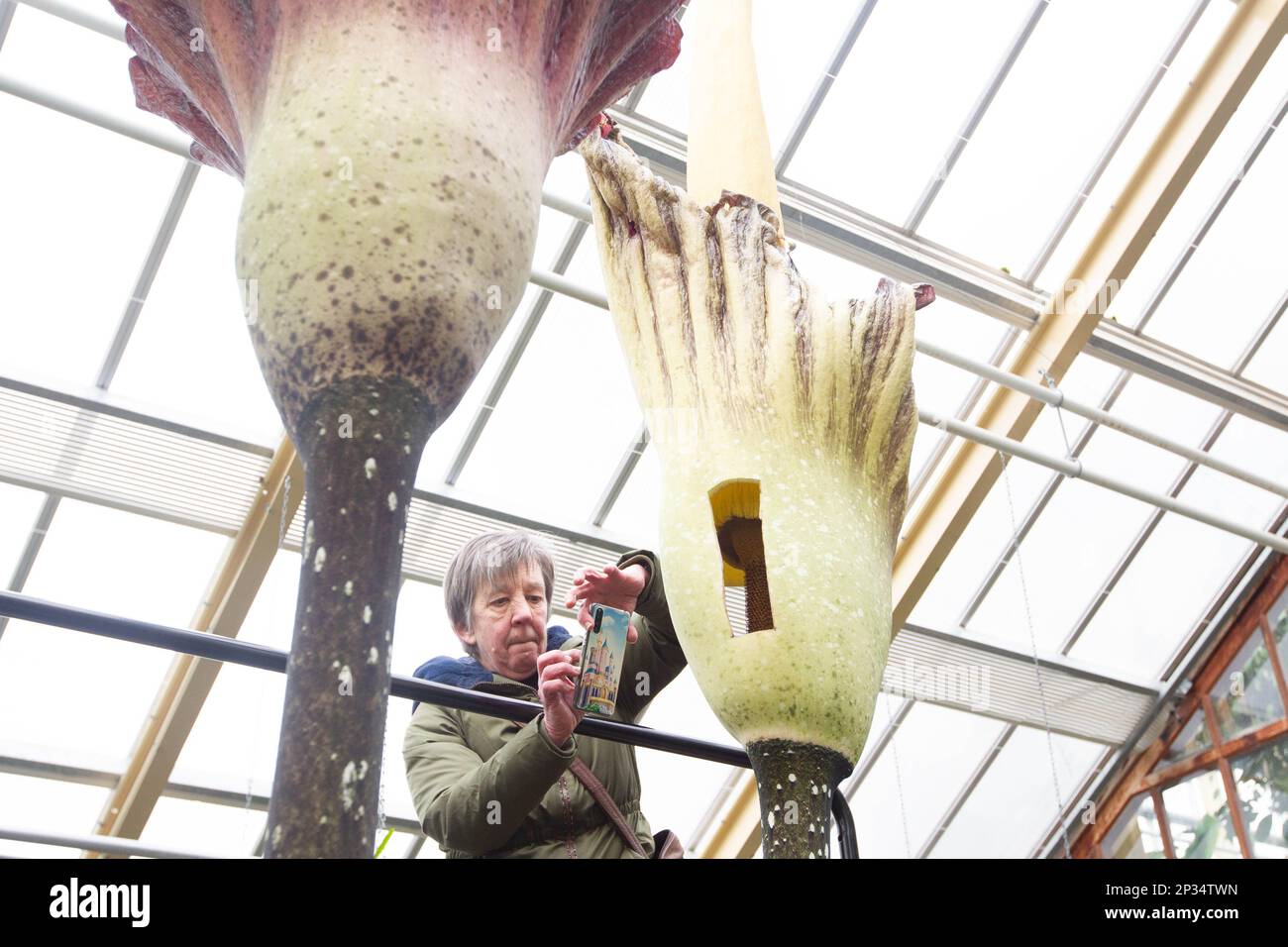 Leiden, Netherlands. 4th Mar, 2023. A visitor takes photos of two ...