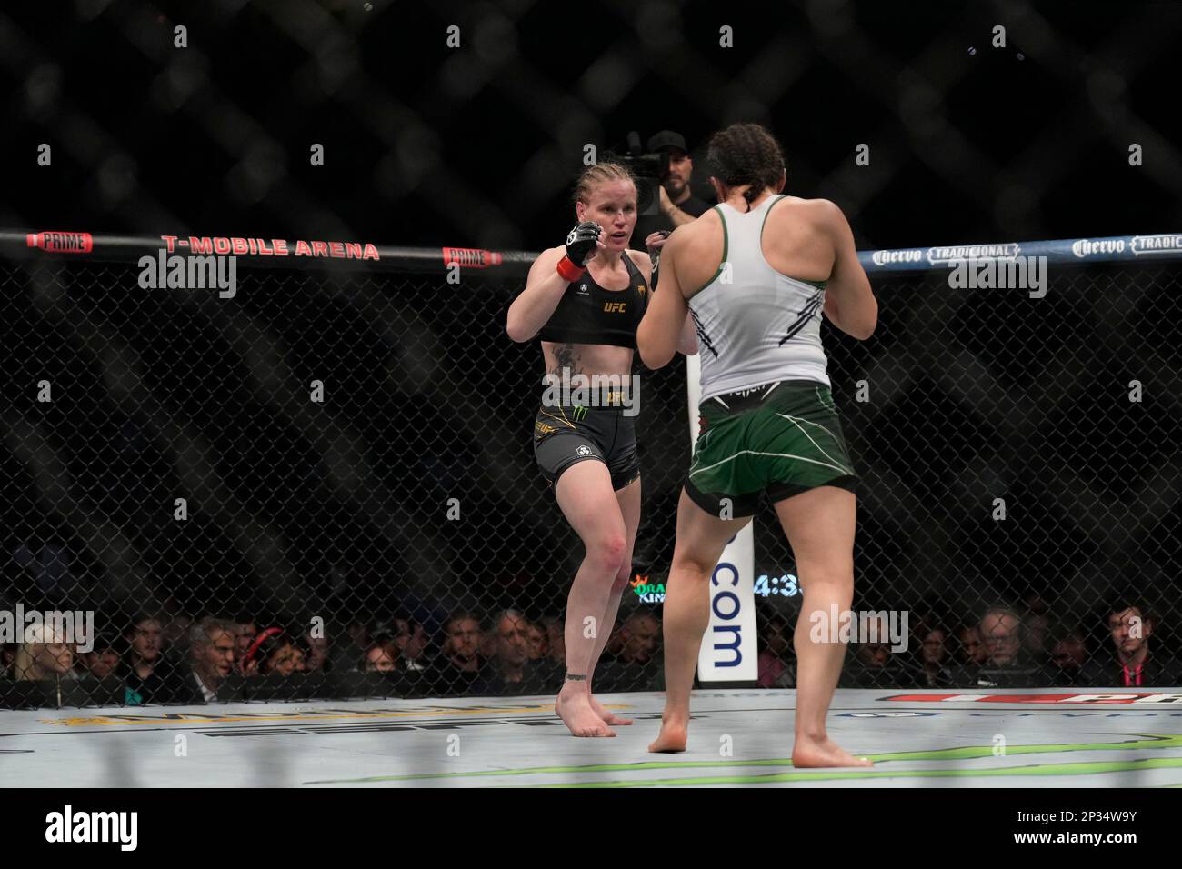 LAS VEGAS, NV - MARCH 4: (L-R) Valentina Shevchenko battles Alexa ...