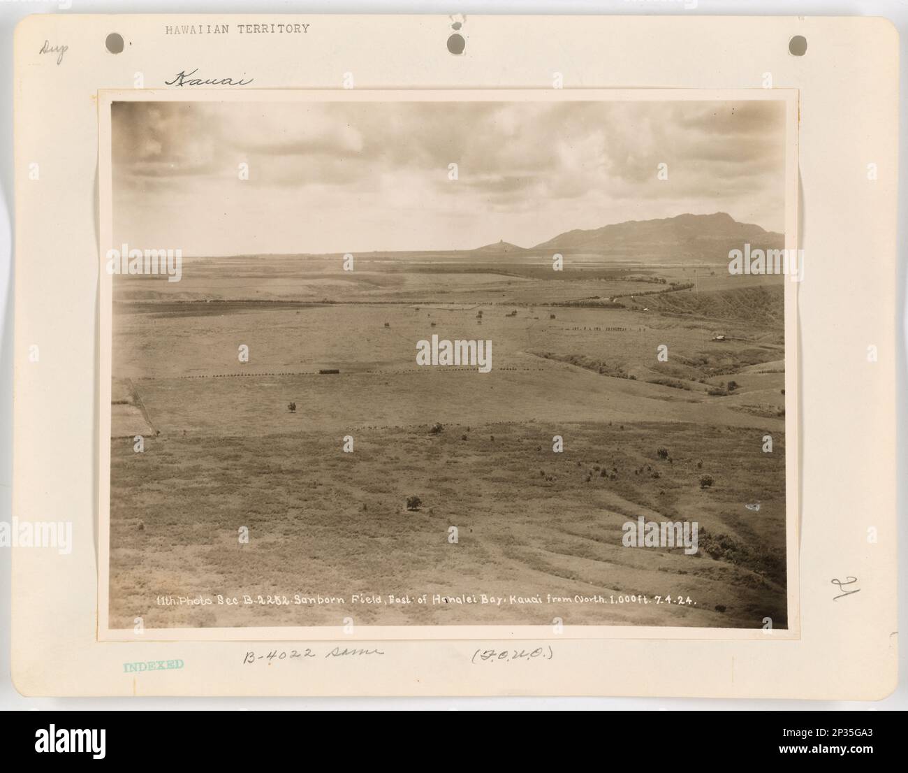 Kavai hi-res stock photography and images - Alamy