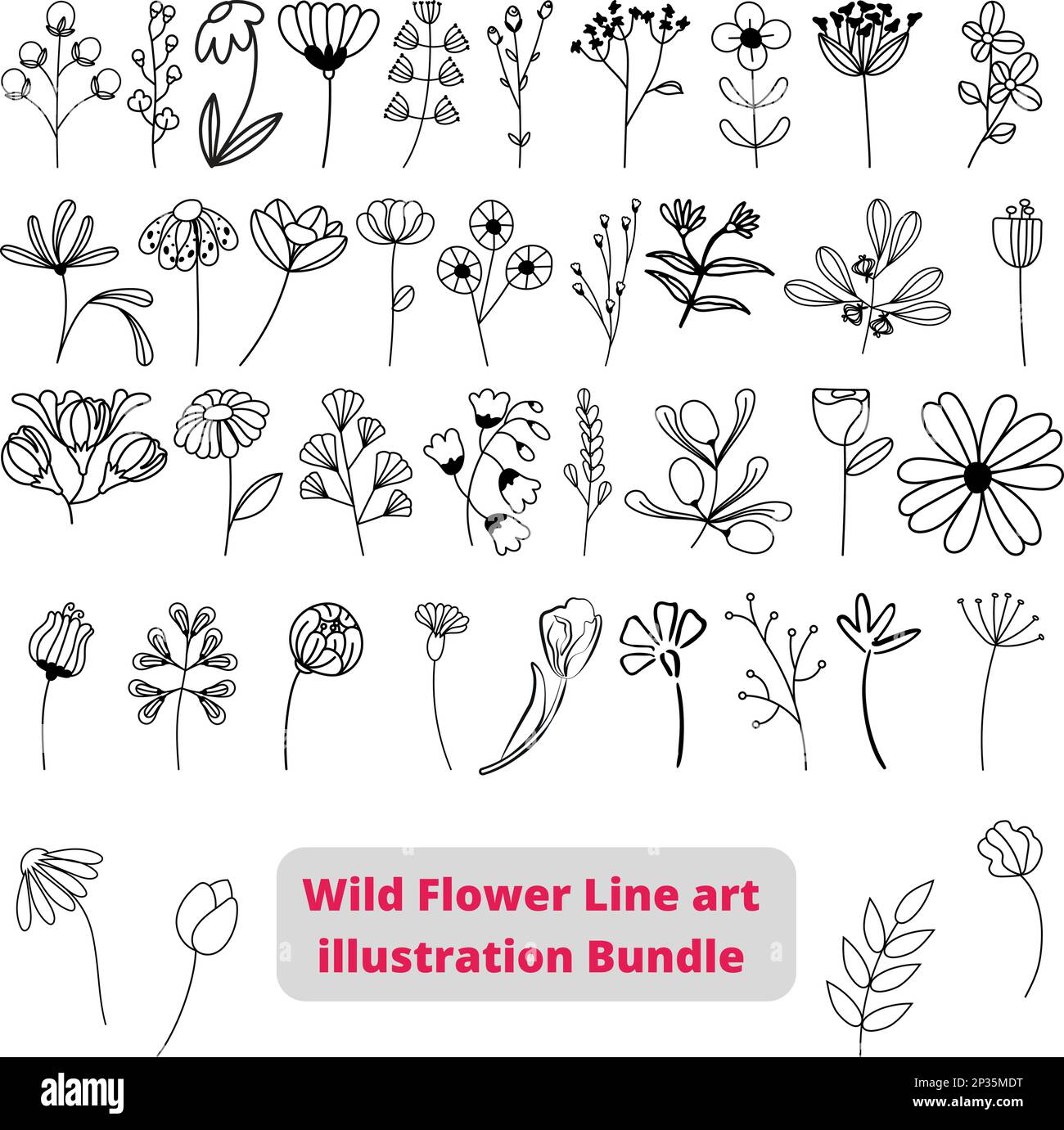 Hand drawn line art flower, Leaf Vector Illustration Bundle Stock ...
