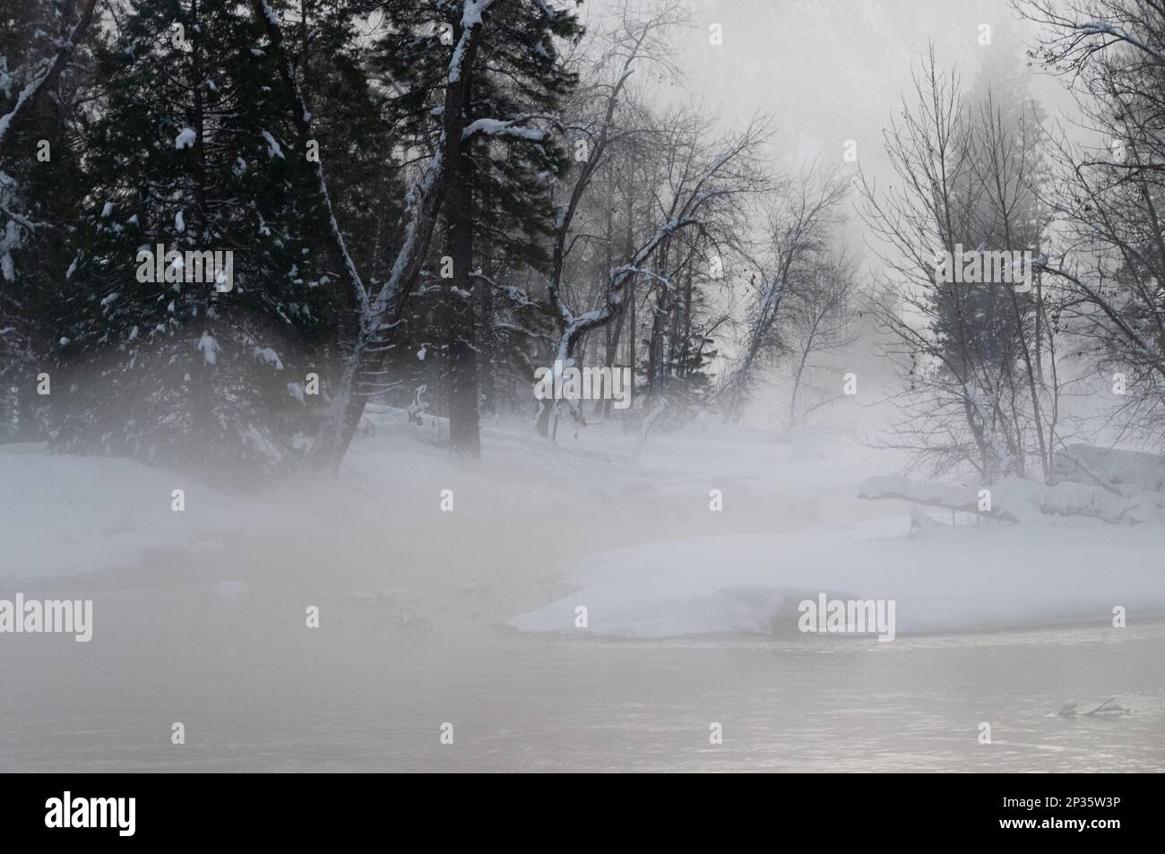 An eerie mist covers the floor of yosemite valley, while a thin layer ...