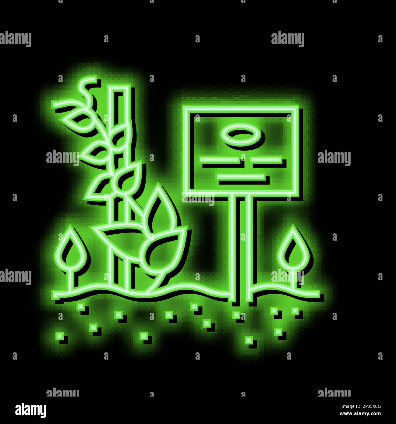 plant with nameplate neon glow icon illustration Stock Vector Image ...