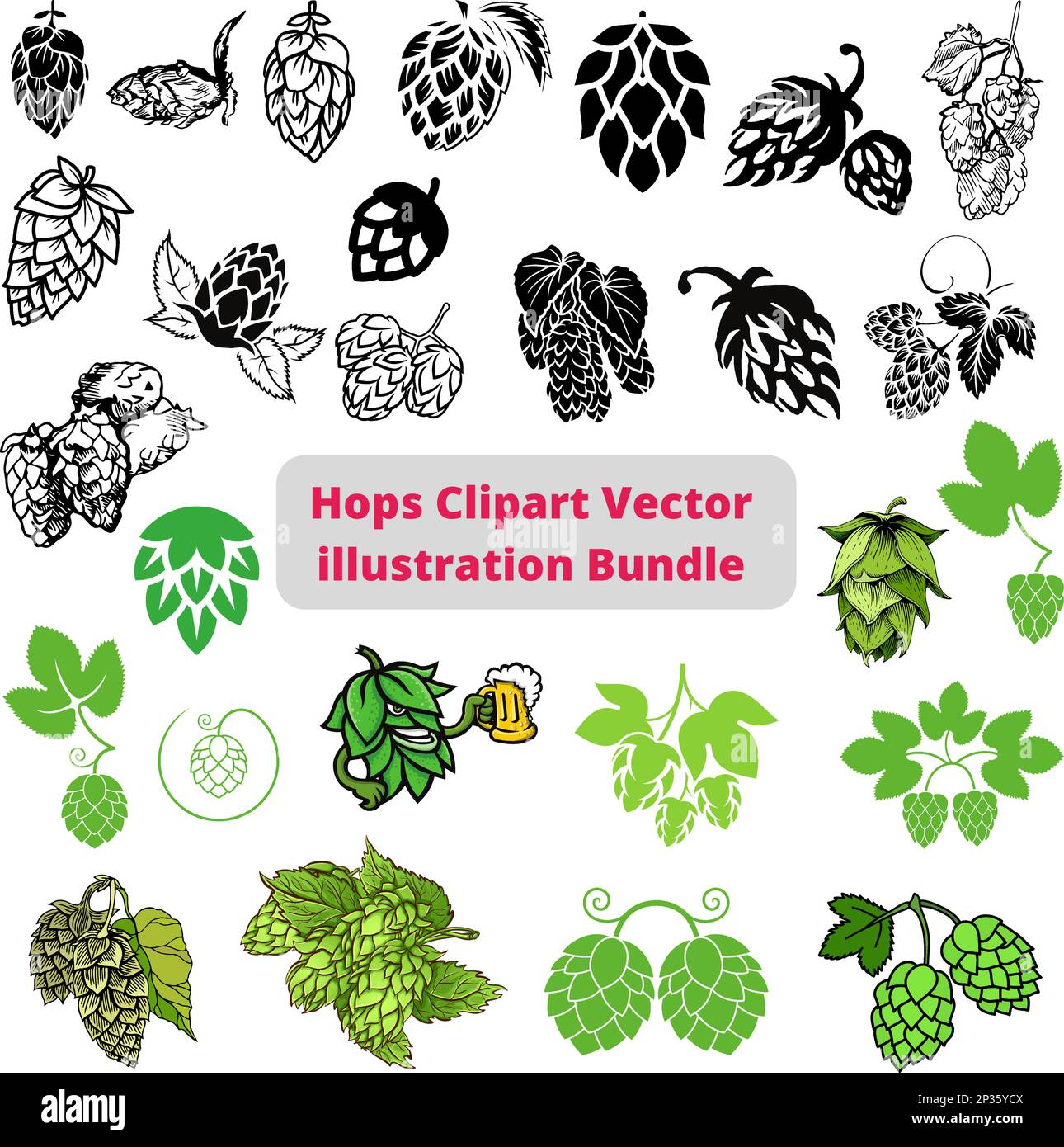 Hops crop vector vectors Stock Vector Images - Alamy