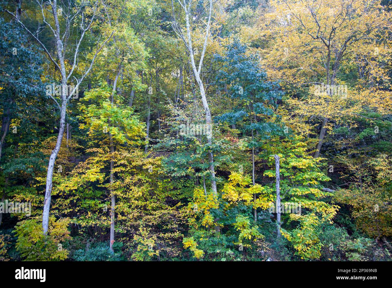 New hope pennsylvania autumn hi-res stock photography and images - Alamy
