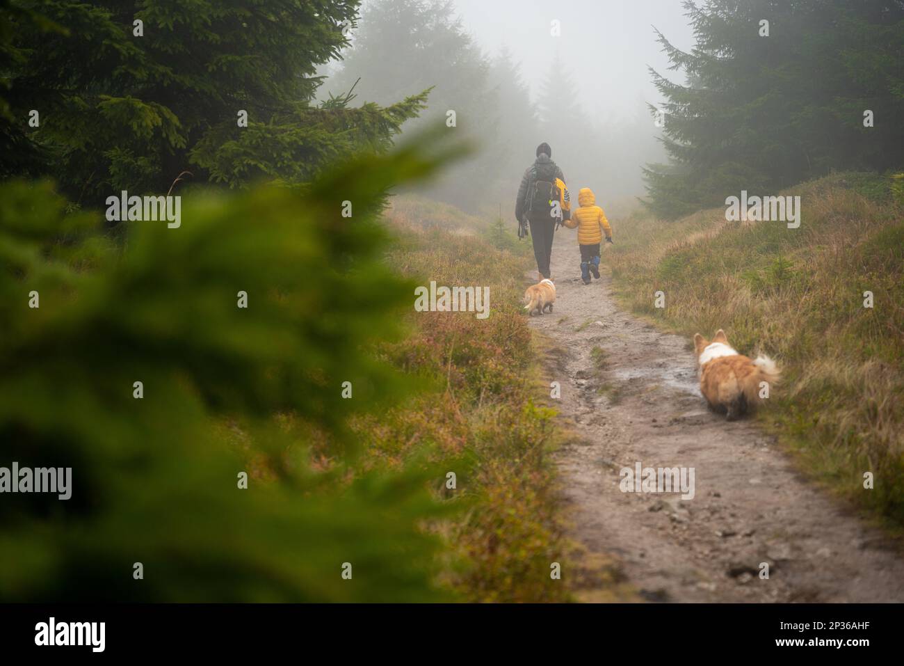 Mum and her little son go on a mountain trail in wet autumn weather ...