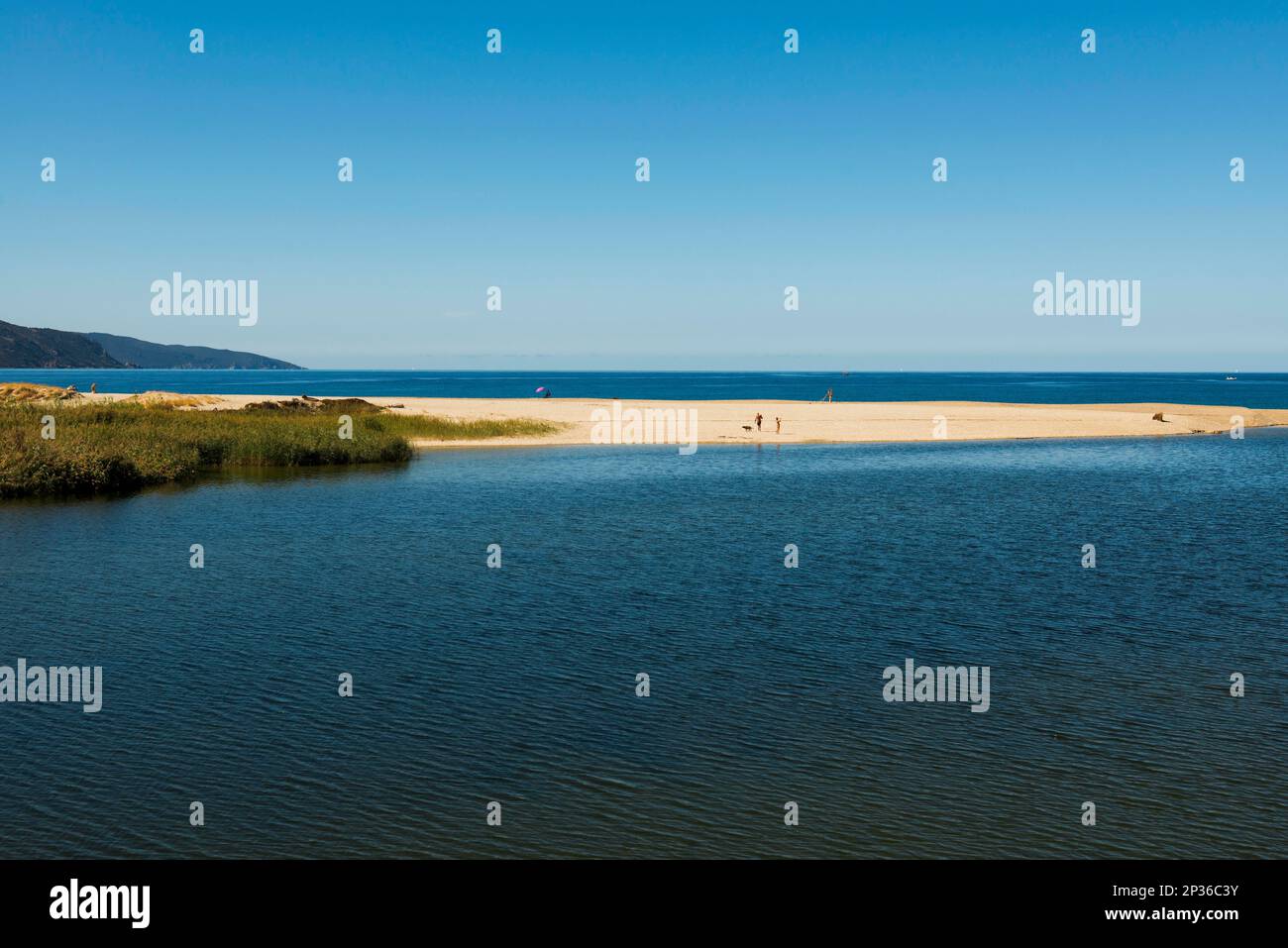 Sandy beach beach, Plage du Liamone, Calcatoggio, West coast ...