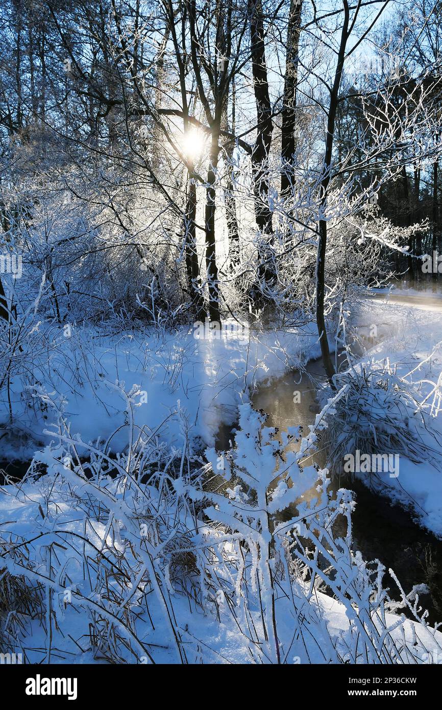 Stream in winter, Strothbach fast-flowing and rarely freezing over ...