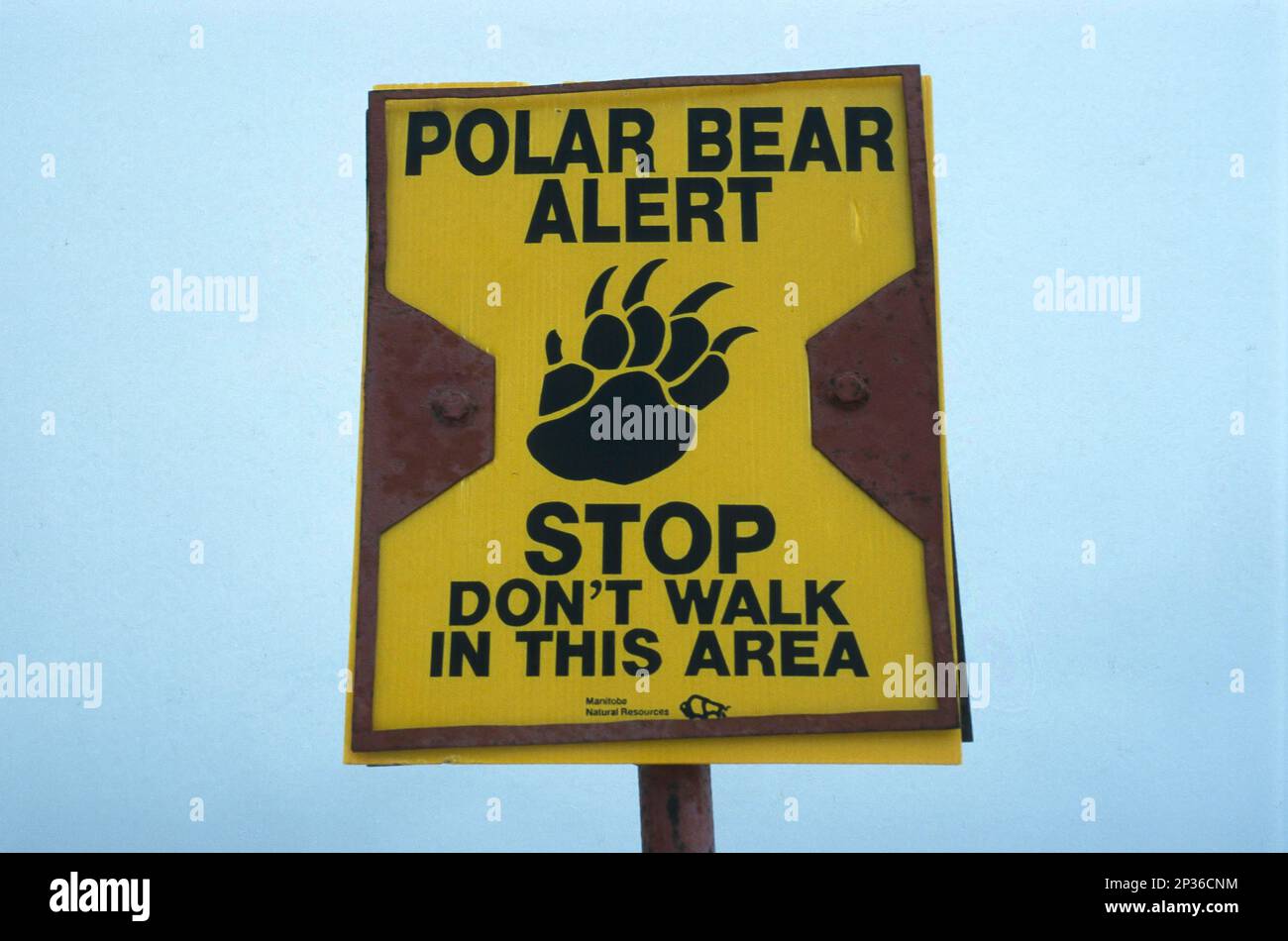 Polar Bear Warning Sign, Churchill, Hudsonbay, Canada Stock Photo - Alamy