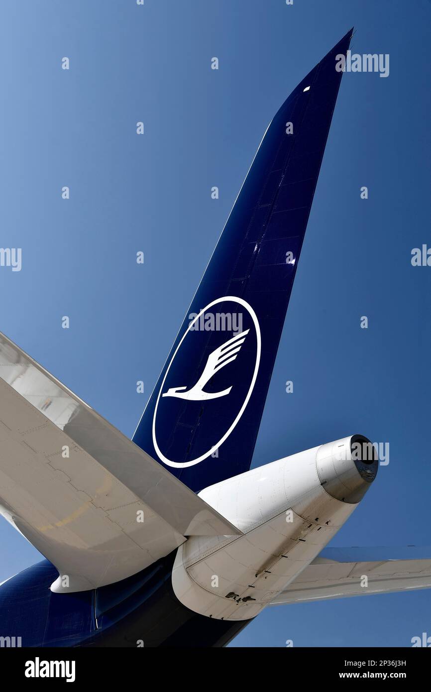 Lufthansa Airbus A350-900 New Livery Tailplane, Munich Airport, Upper ...