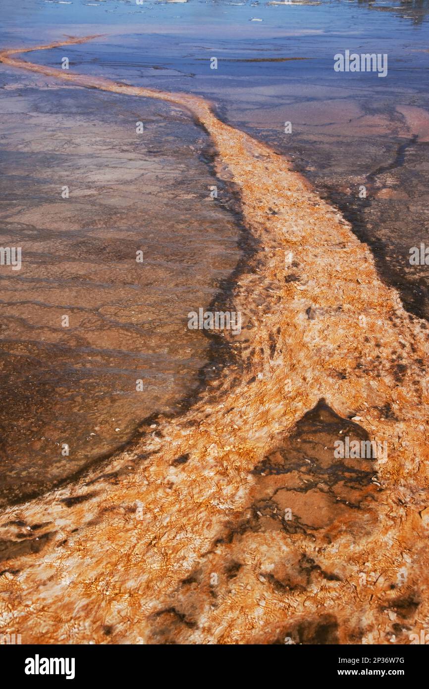 Bacterial mat hi-res stock photography and images - Alamy