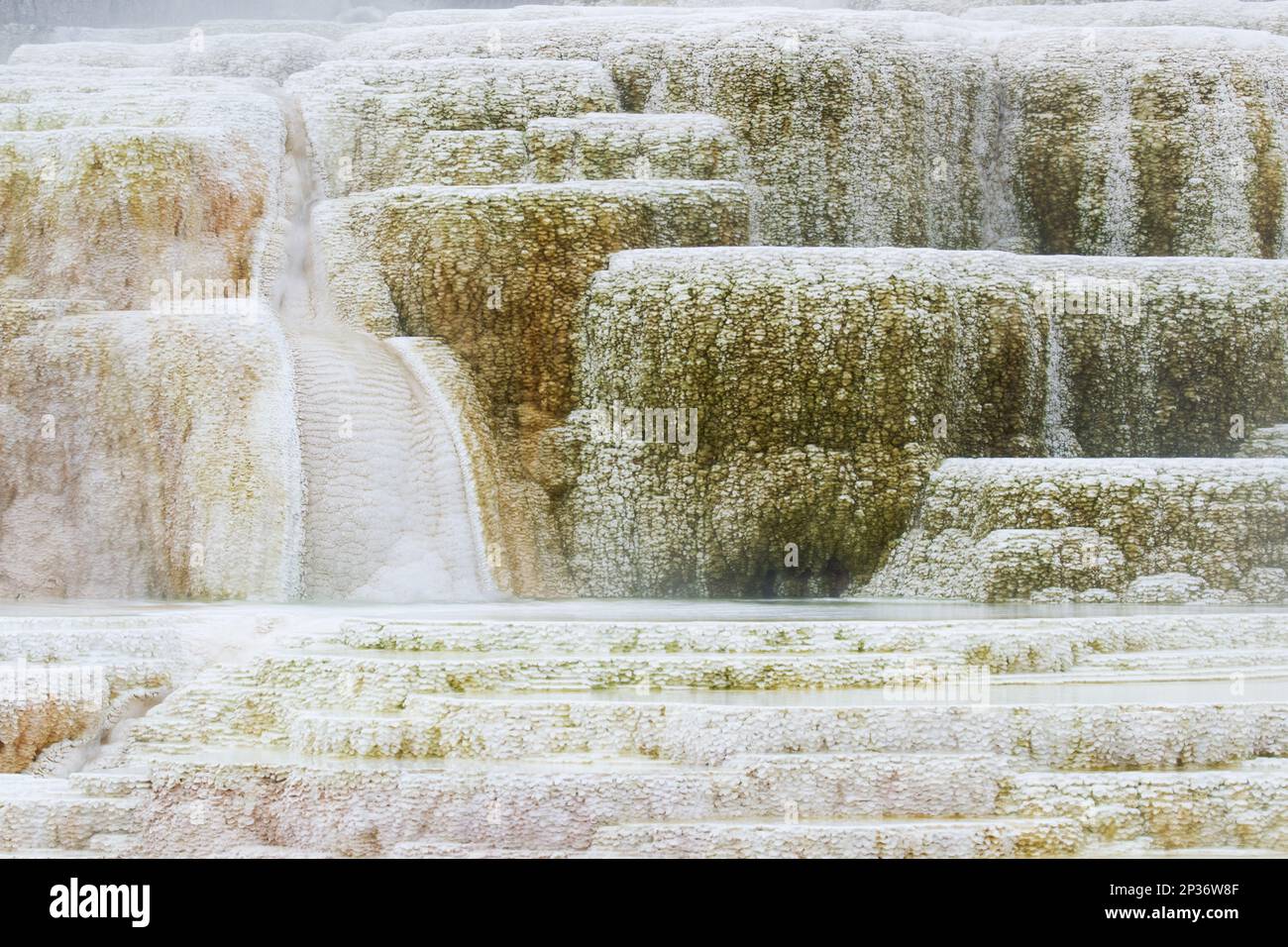 Travertine Terraces at Hotspring, Palette Spring, Mammoth Hot Springs ...