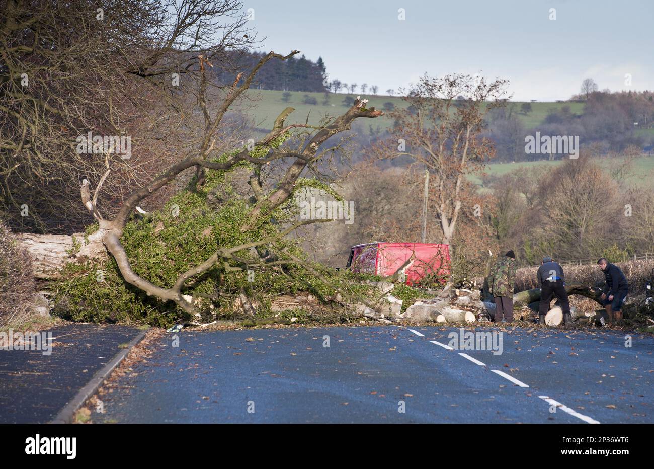 Clearing fallen tree from road after being blown over in wind, near ...