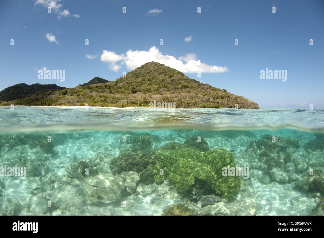 View of island and coral from above and below surface of water, Nyata ...