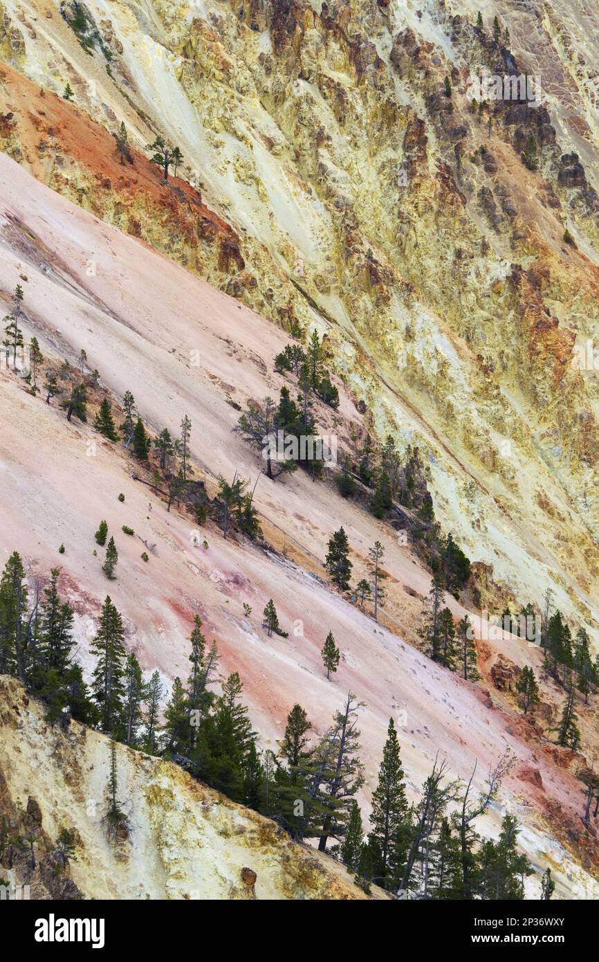 View of canyon slope with oxidising rock, Grand Canyon of Yellowstone ...