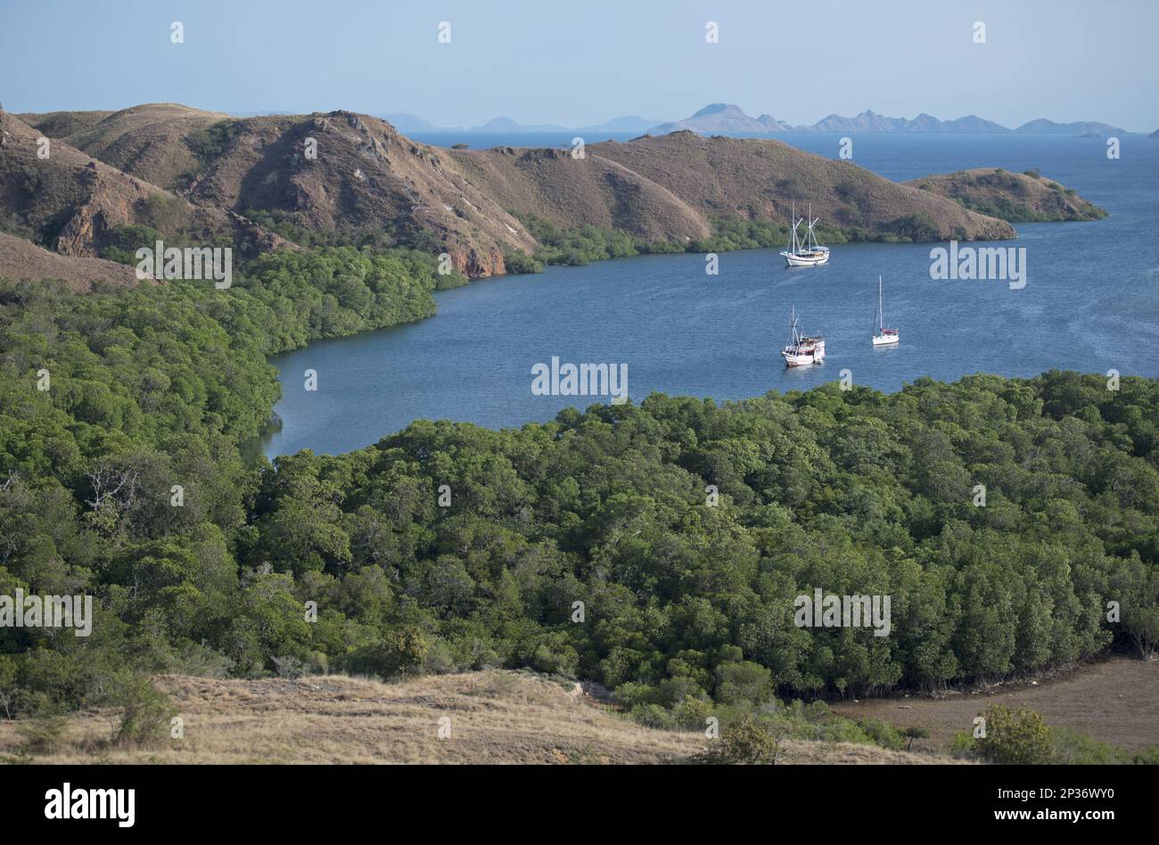 View of bay with liveaboard dive boats, Rinca Island, Komodo N.P ...