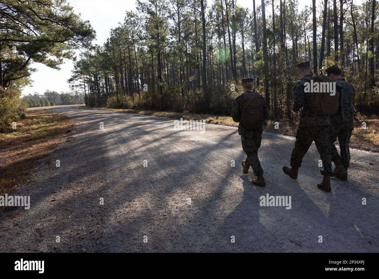 U.S. Marines with 8th Engineer Support Battalion, Combat Logistics ...