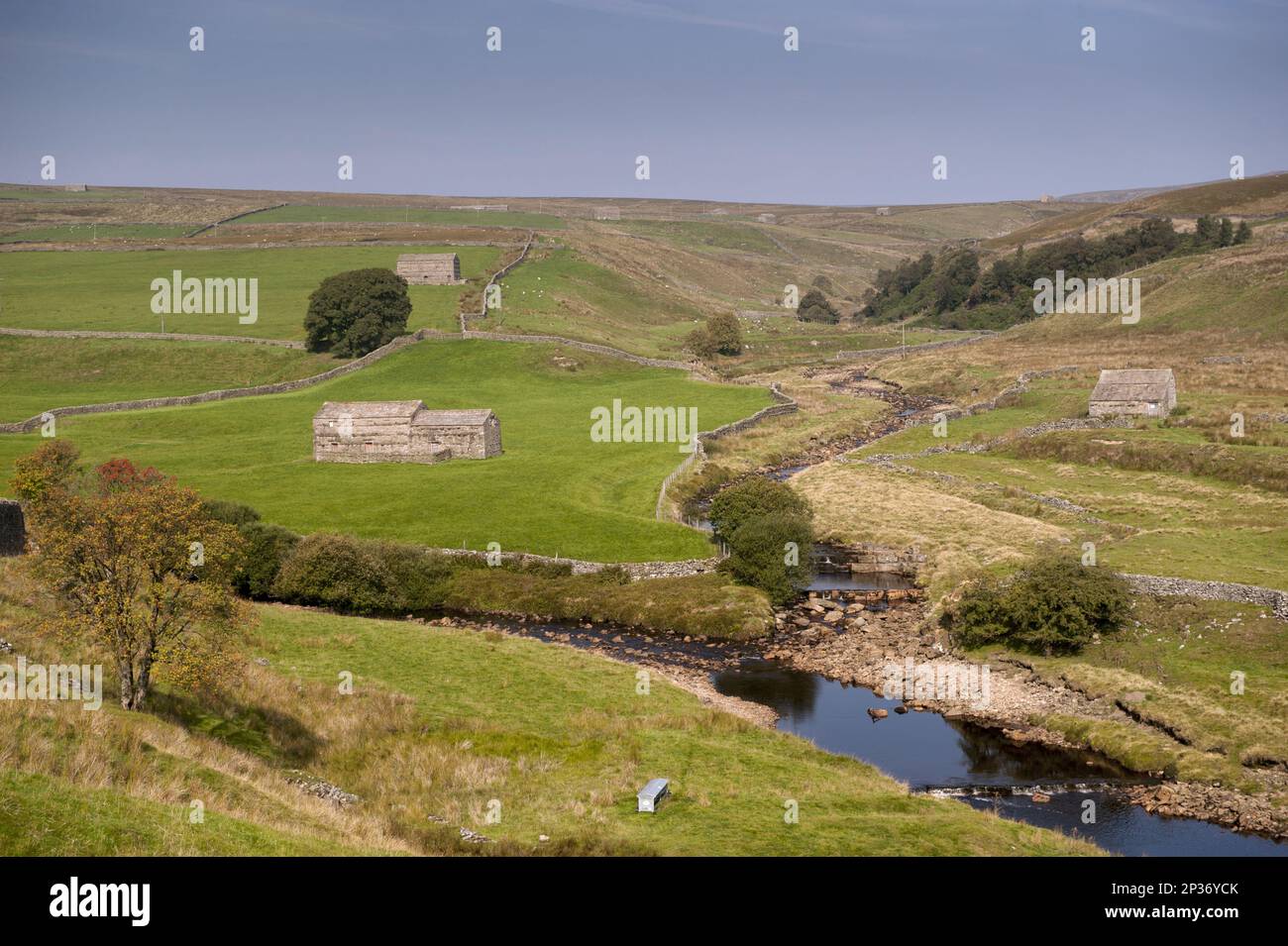 View of the confluence with the river, Stonesdale Beck, River Swale, at ...