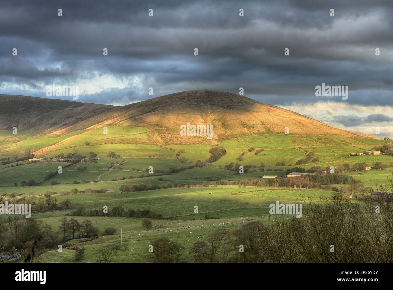 View over farmland towards Fell, Parlick Fell, Forest of Bowland ...