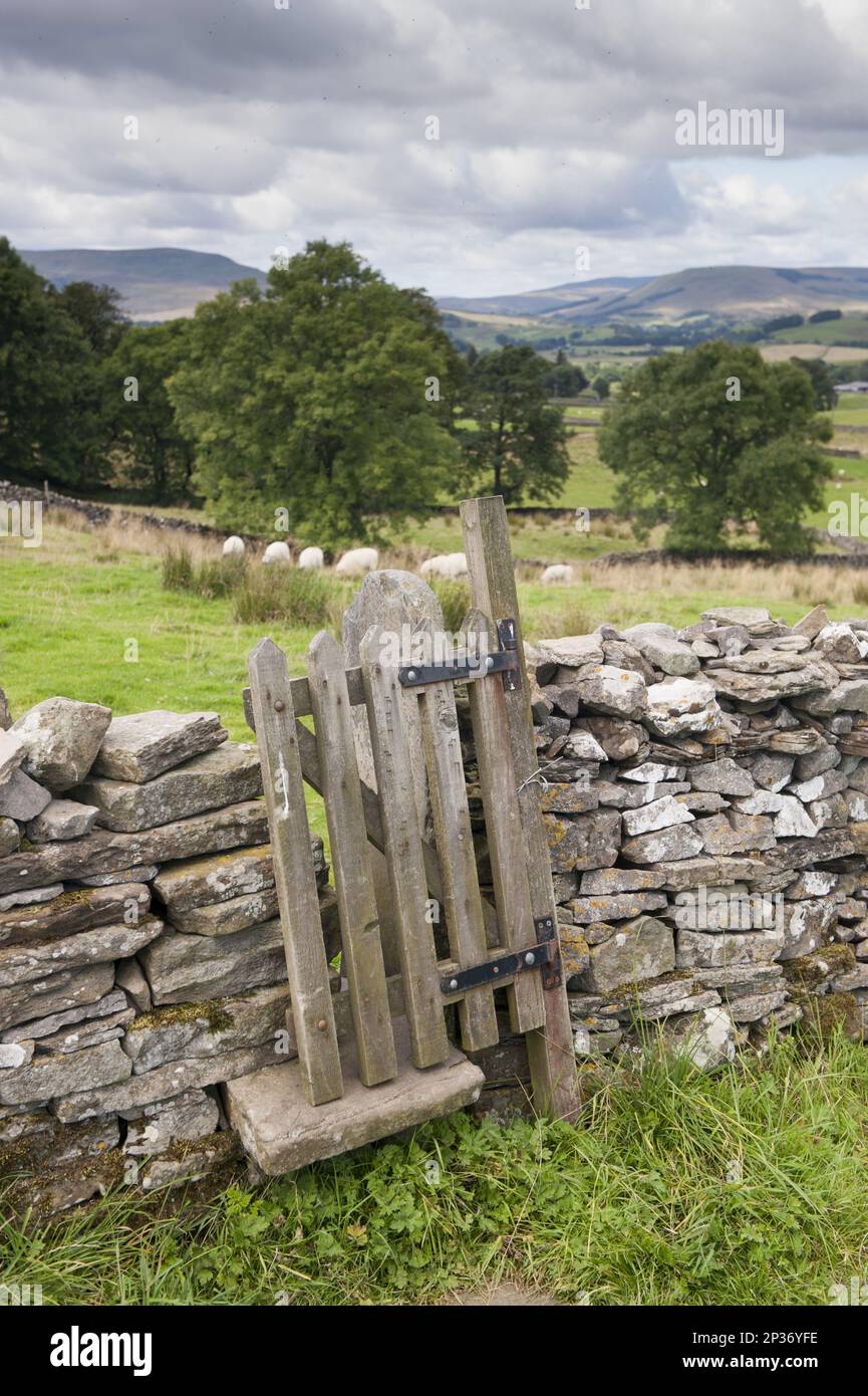 Stiles and gate in dry stone wall on public footpath, near Burtersett ...