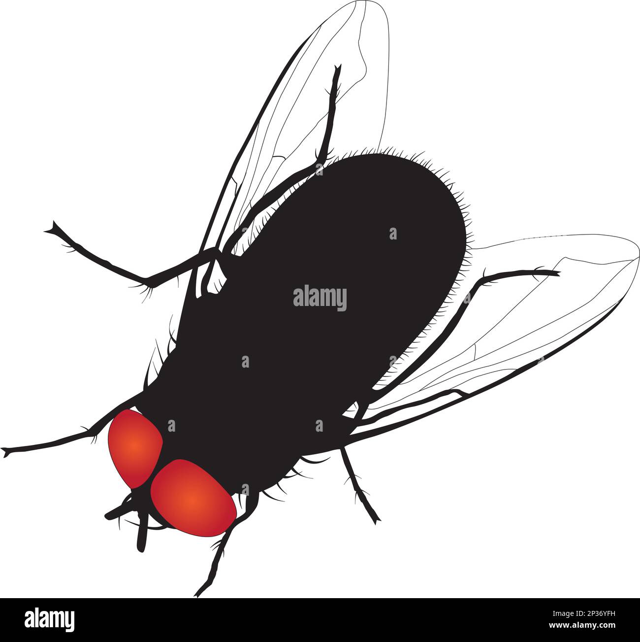 House fly vector silhouette on white background. Fully editable Stock ...
