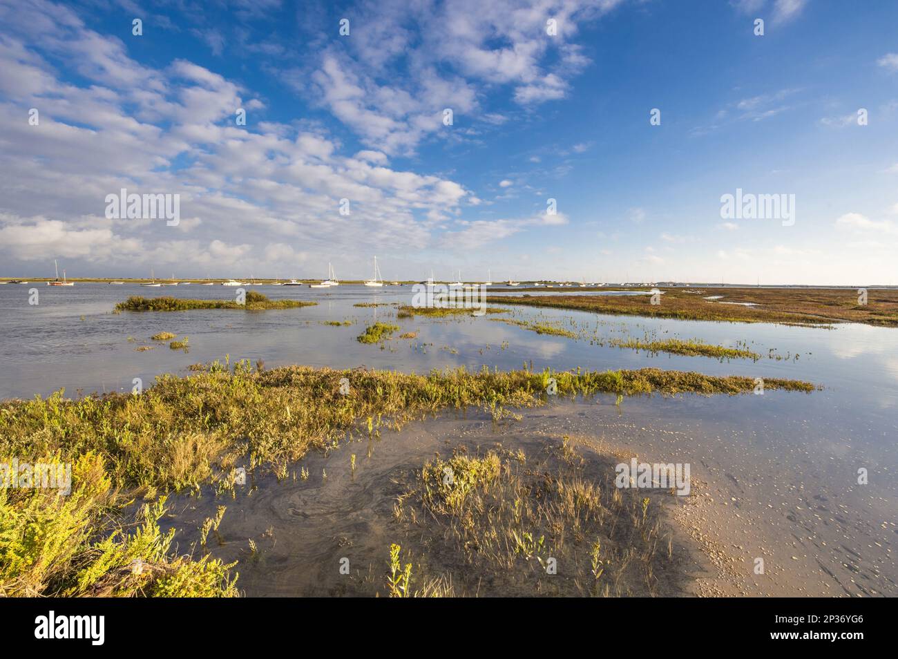 View of estuary saltmarsh habitat and boats with rising tide ...