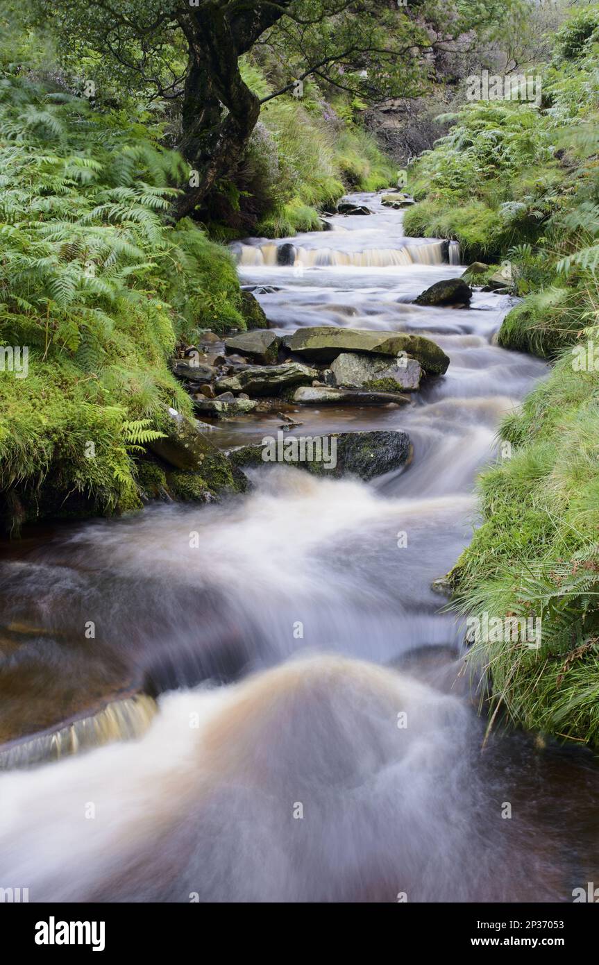 View of the Cascade Stream, Fairbrook Naze, Kinder Scout, Dark Peak ...