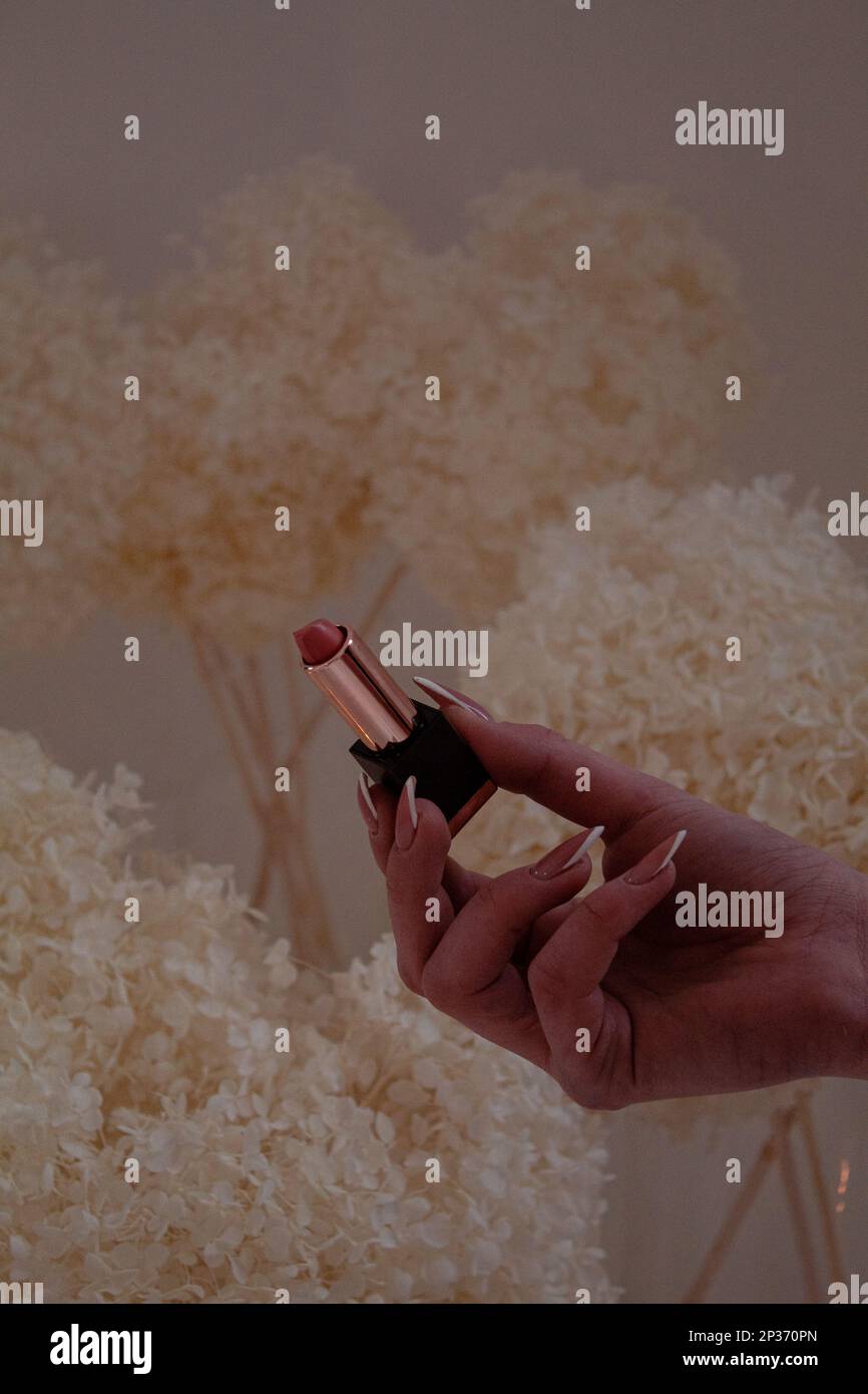 Object photos of aesthetic studio Stock Photo - Alamy