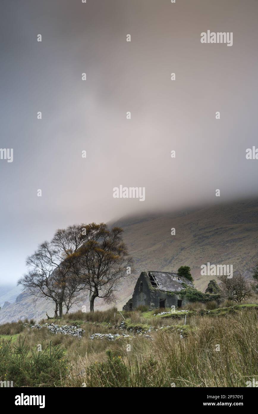 View of drystone walls and abandoned farmhouse, Black Valley ...