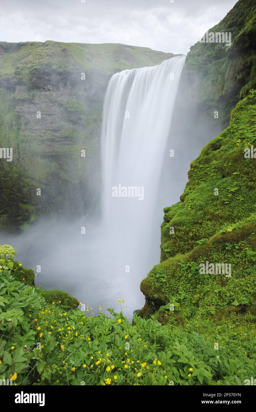 View of waterfall flowing over cliff, Skogafoss, Skoga River, Iceland ...