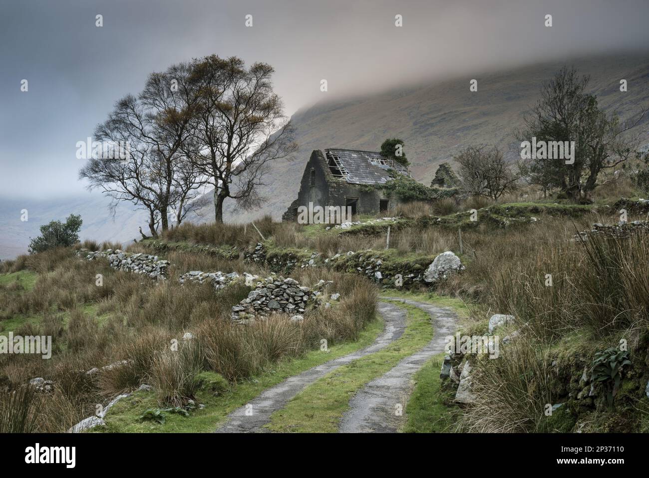 View of drystone walls and abandoned farmhouse, Black Valley ...