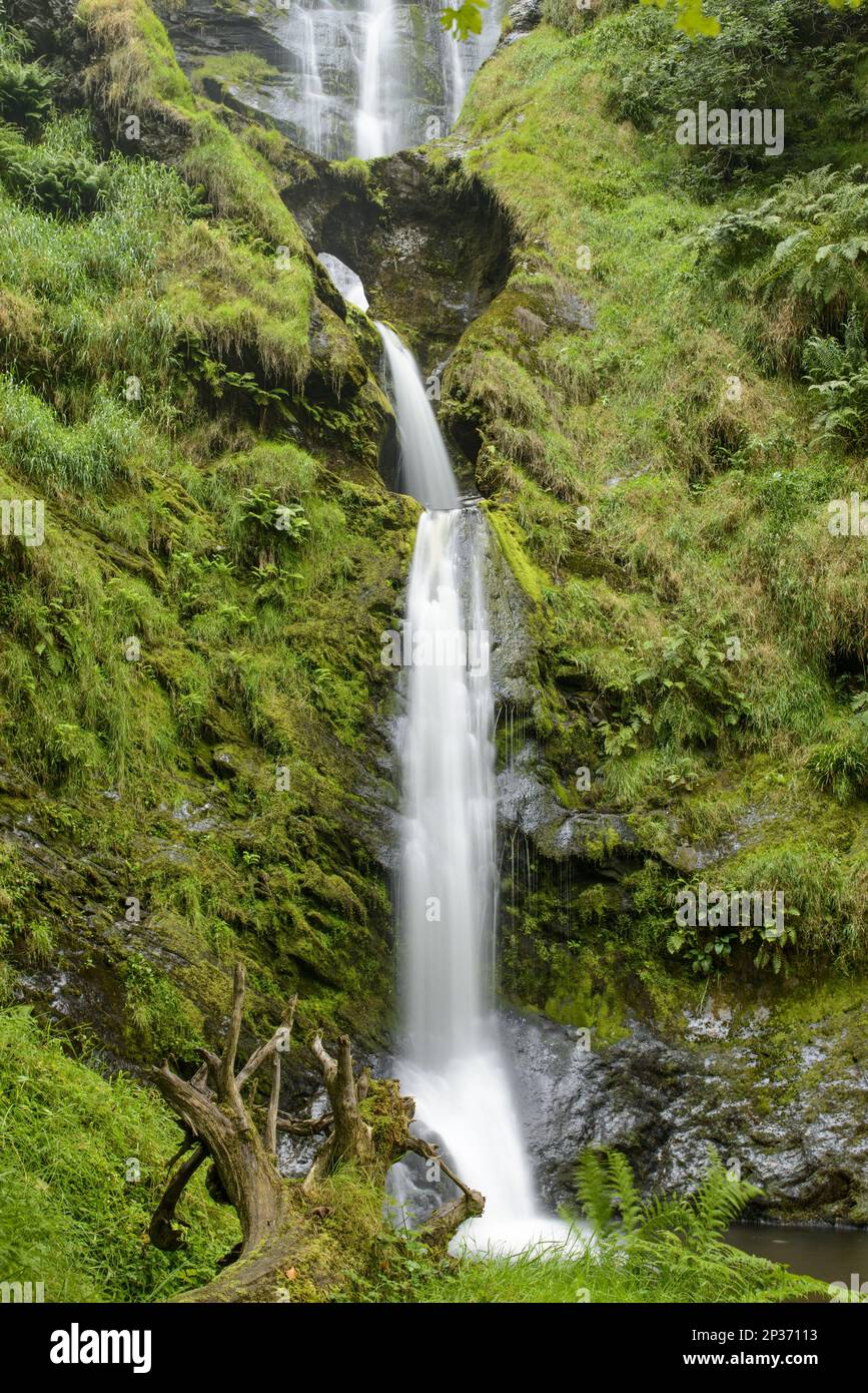 View of waterfall flowing over cliff, Pistyll Rhaeadr, Afon Rhaeadr ...