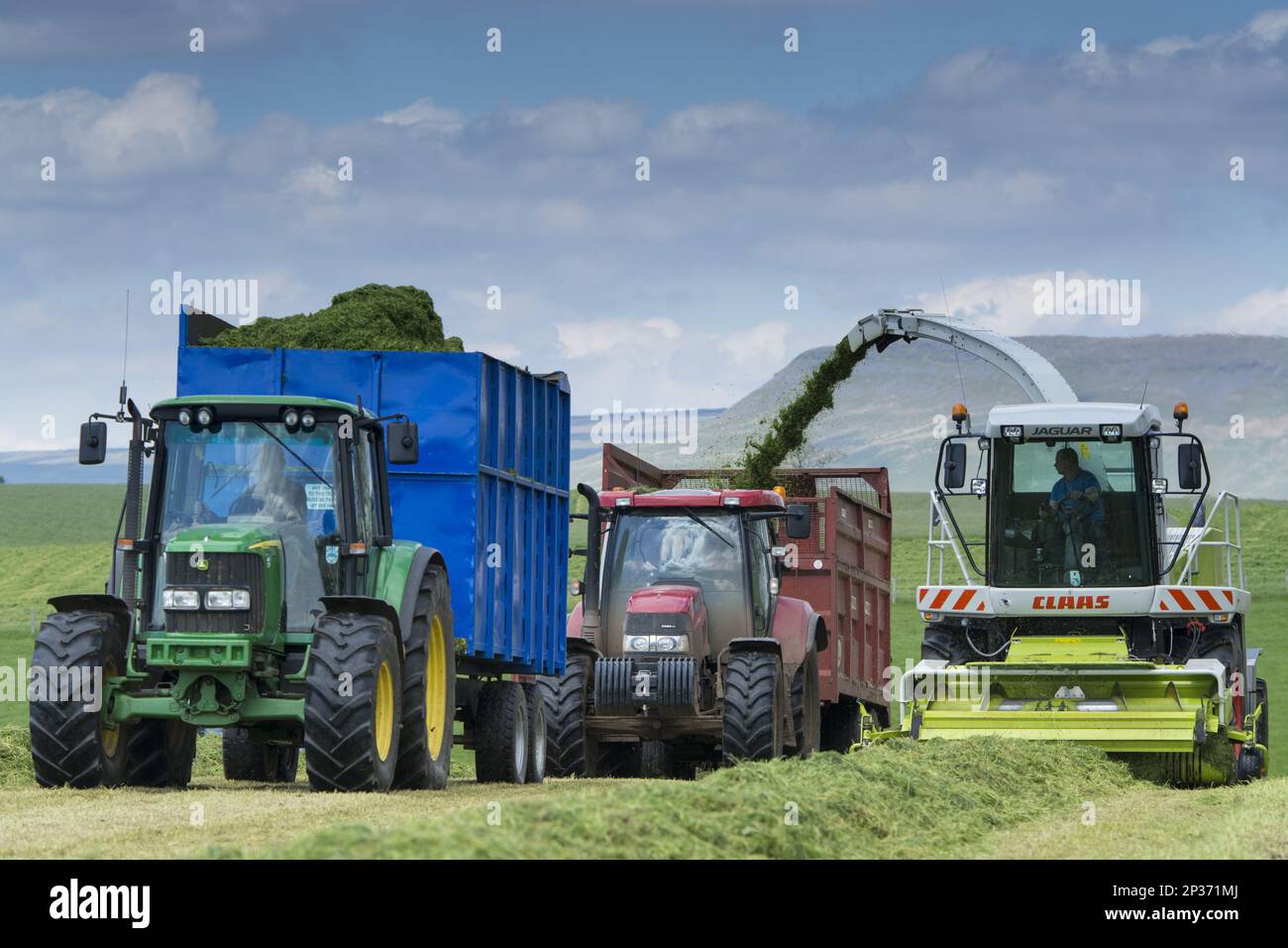 Claas Jaguar self-propelled forage harvester, grass chopping and ...