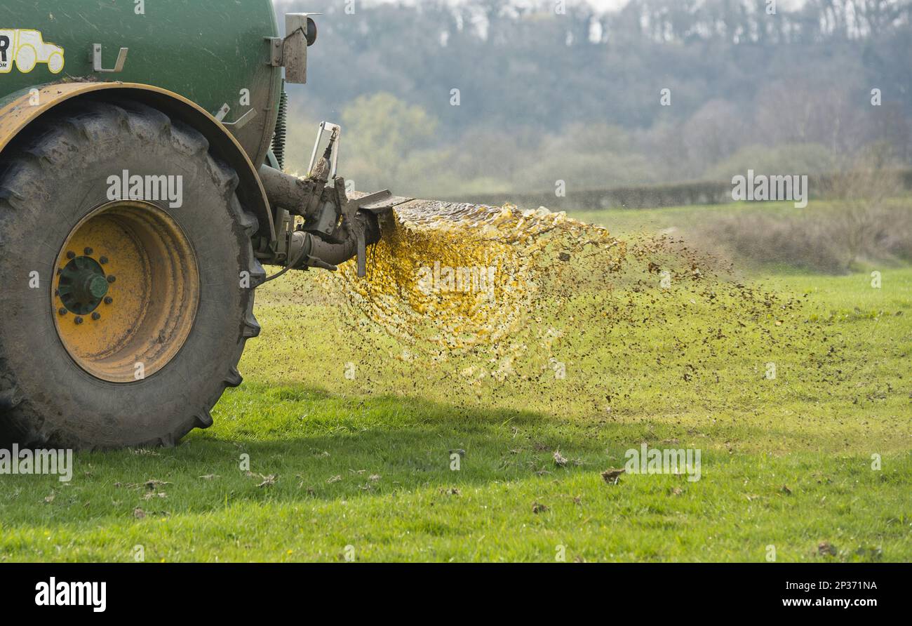 Slurry tanker spreading manure on grassland near Longridge, Lancashire ...