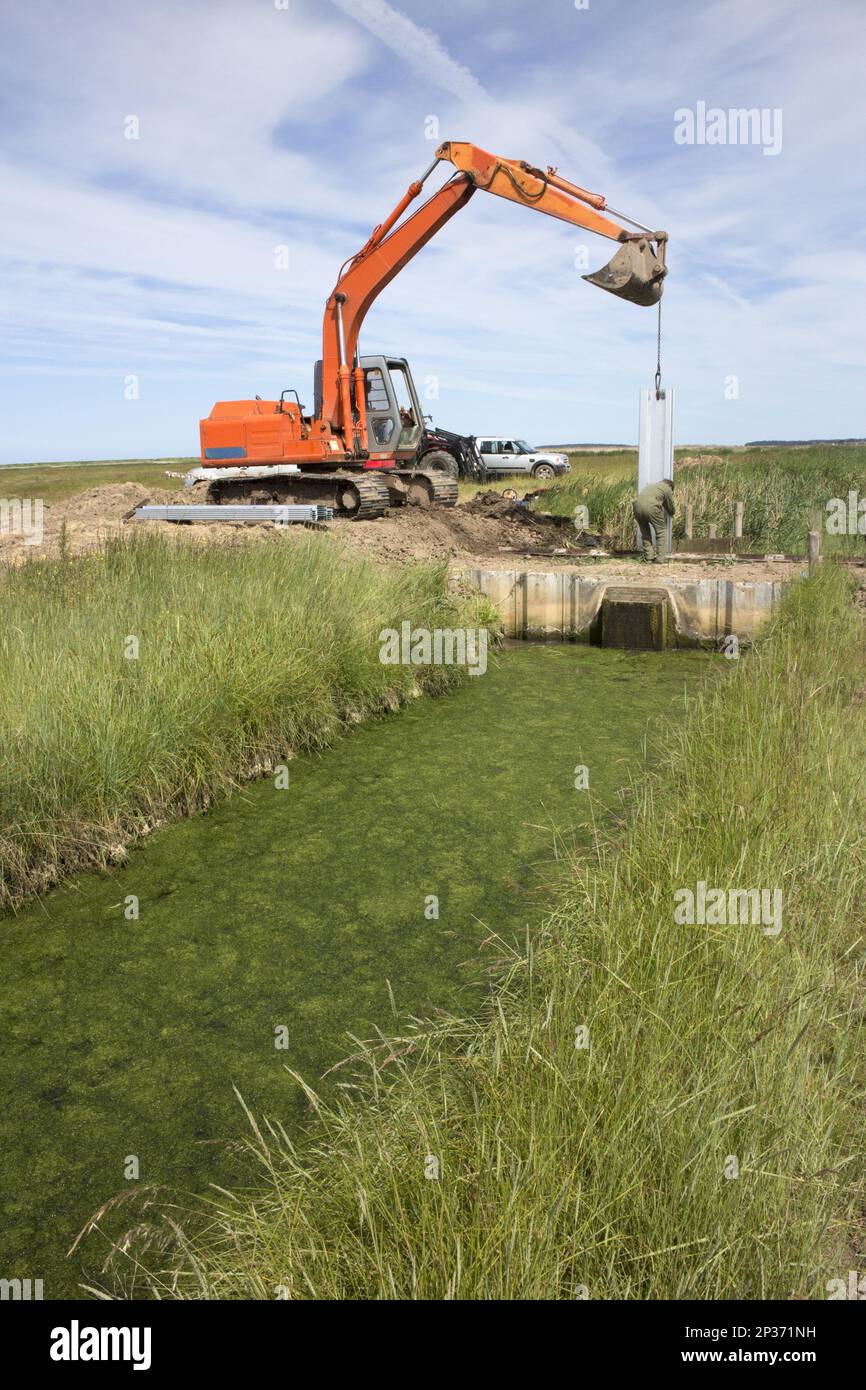 Metal piles for the construction of a sluice gate for water retention ...