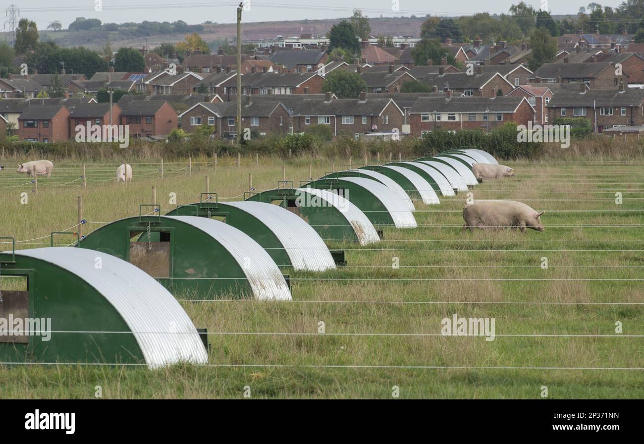 Piggery, arches on a piggery near townhouses, near Retford ...