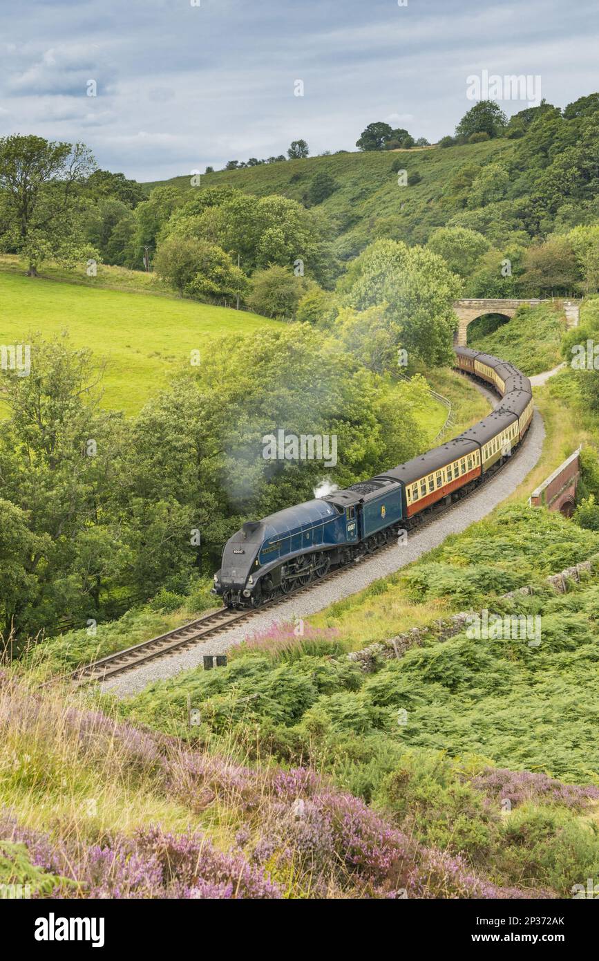 'Sir Nigel Gresley' steam train and carriages, travelling through ...