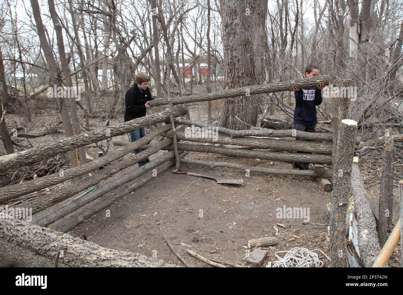 Cousins Evan Adler and Jordan Peak place a freshly cut tree into place ...