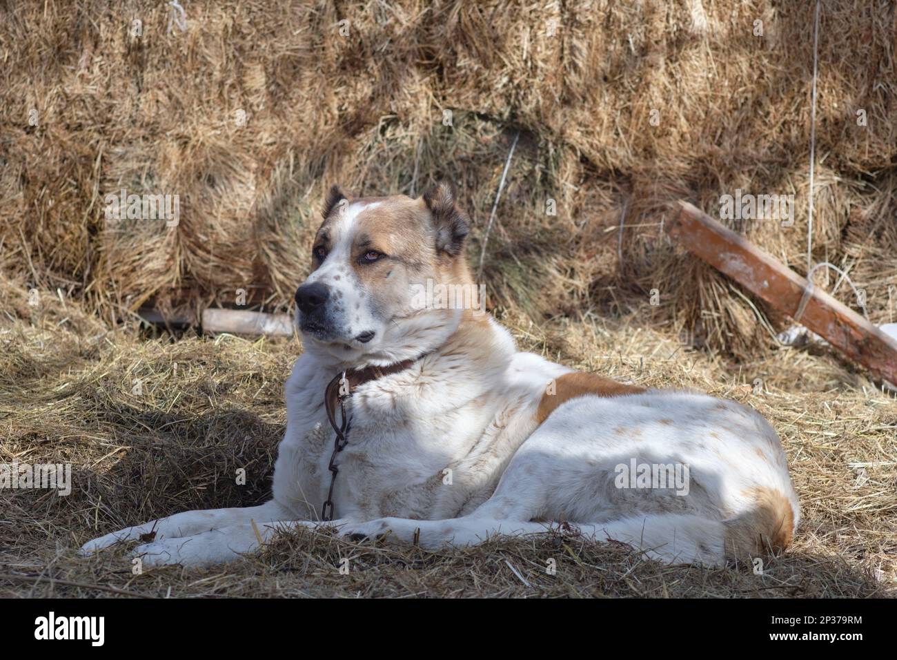 Lorut village hi-res stock photography and images - Alamy