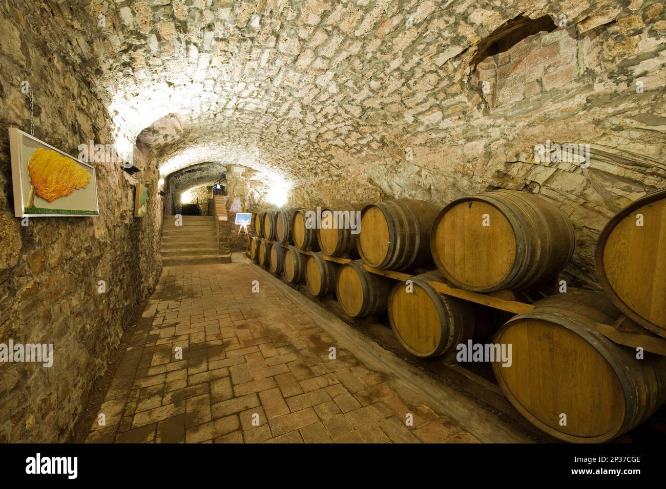 Castello di Meleto, wine cellar, wine barrel, Fas, barrels, 11th century castle, Gaiole In ...