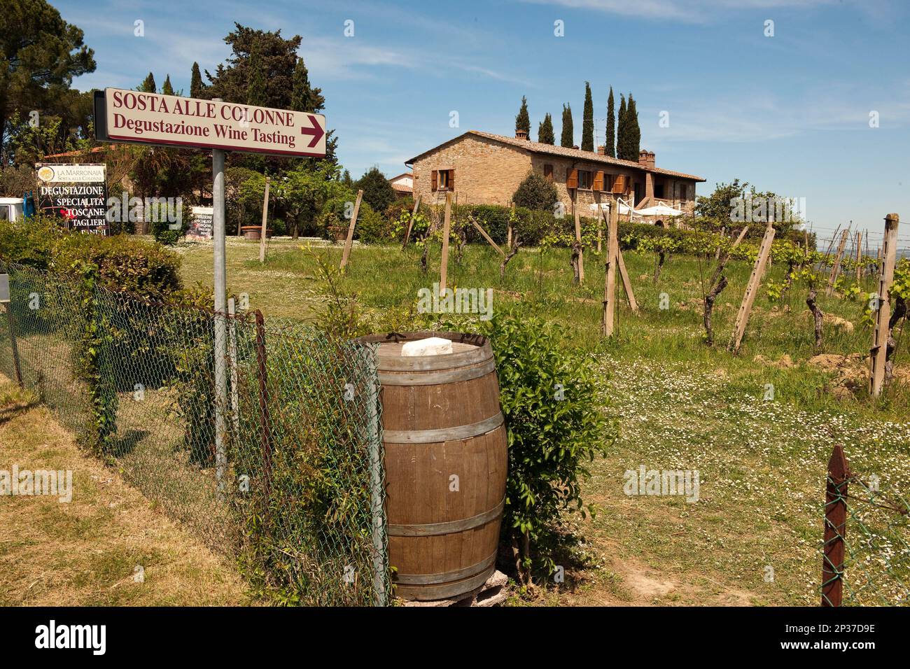 Wine tasting information sign, San Gimignano, Tuscany, Italy Stock ...
