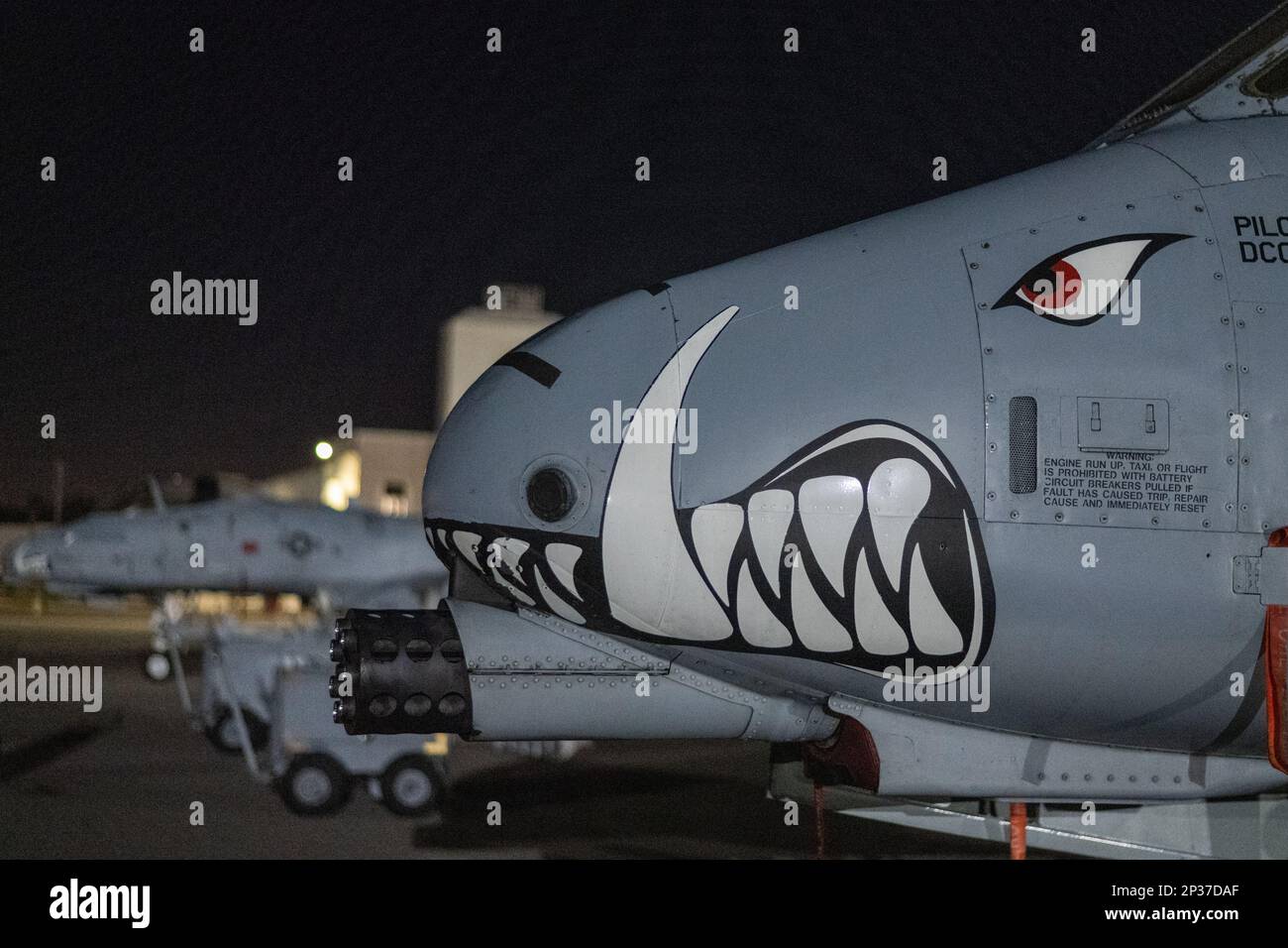 An A-10 Thunderbolt II aircraft assigned to the 442nd Fighter Wing ...