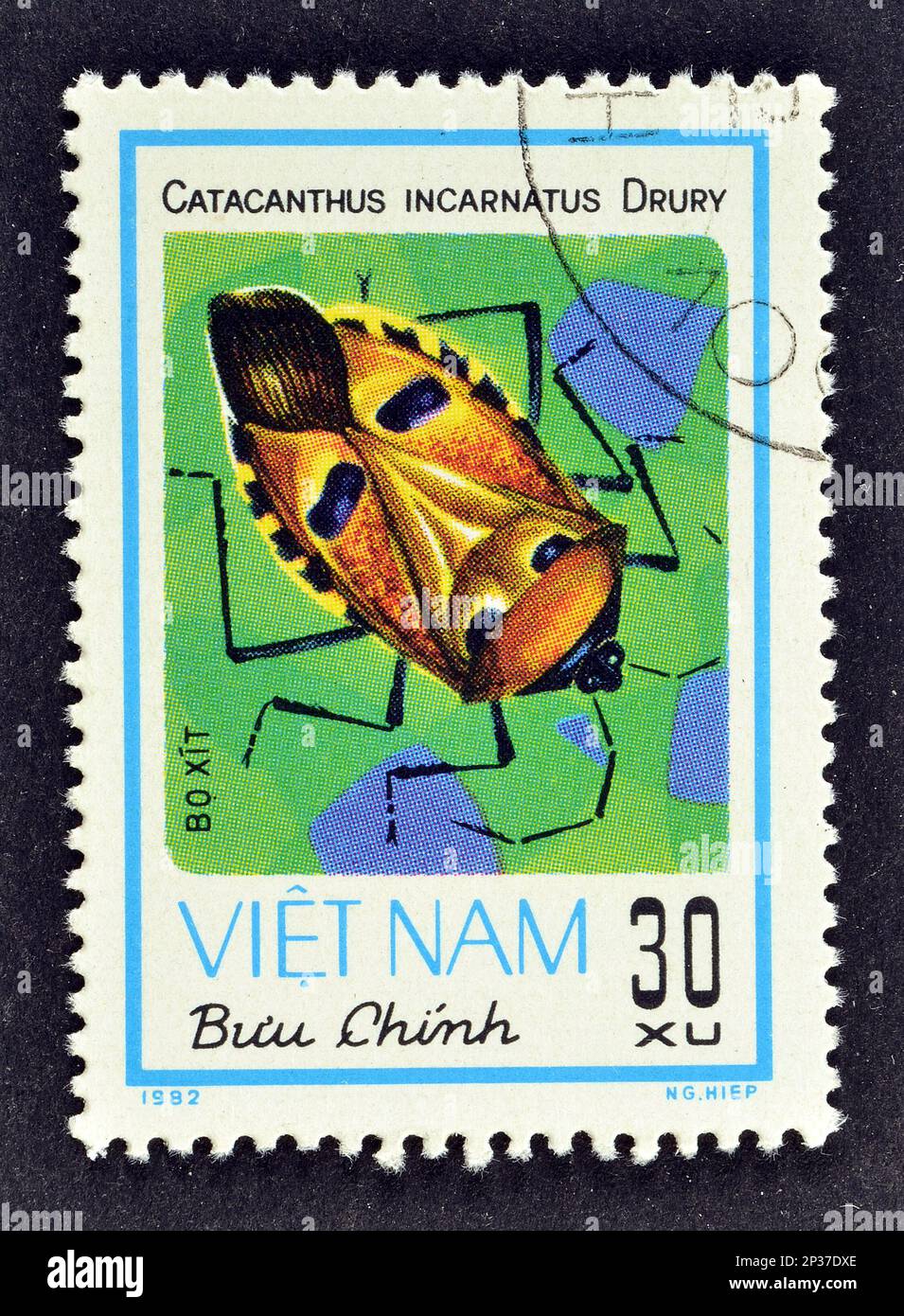 Cancelled postage stamp printed by Vietnam, that shows Catacanthus ...